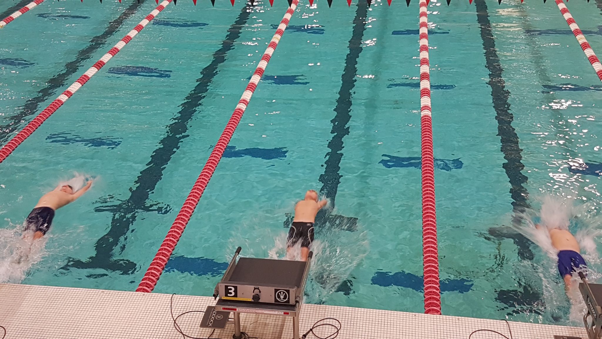 Private swimming lessons Toronto | Customized sessions available!