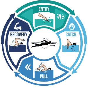 What Are the 4 Arm Movements of Freestyle Swimming?