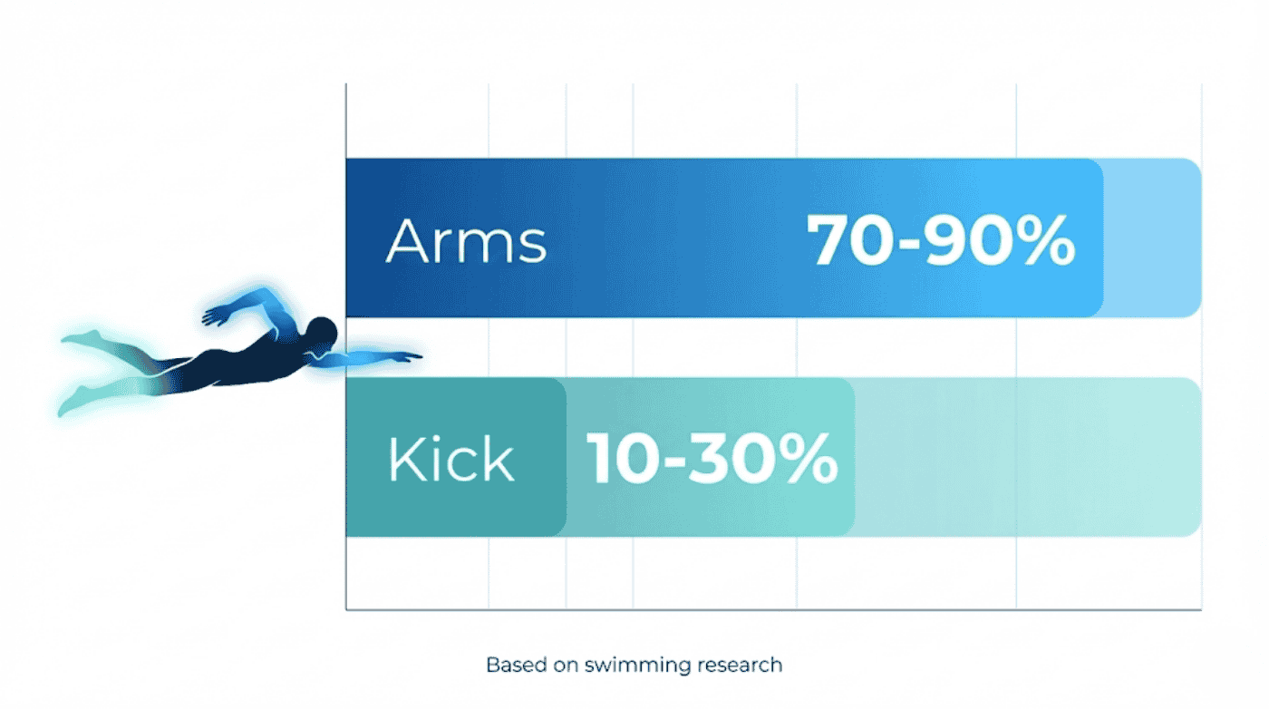 What Are the 4 Arm Movements of Freestyle Swimming?