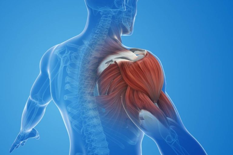 Common Swimming Injuries & How to Avoid Them (Expert Guide)